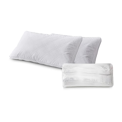 Blue Ridge White Goose Feather & Down 233 Thread Count 100 Cotton 2-Pack Pillow  Jumbo - White