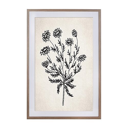 Click here for Safavieh 24 X 36 Fresh Cut Flora Print  One Size... prices