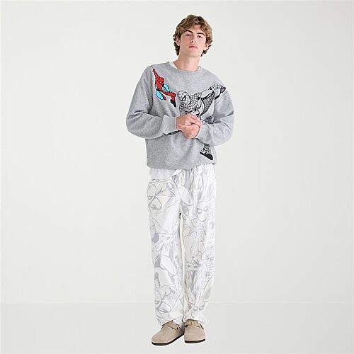 Click here for AEROPOSTALE Mens Regular Fit Spiderman Pull-On Pan... prices