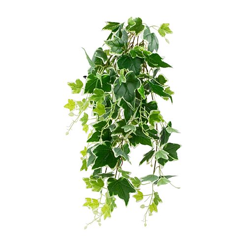 31.5 Green and White Ivy Spring Floral Hanging Bush  One Size  Green