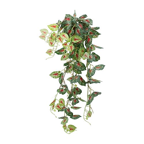 Click here for 39.5 Green and Red Artificial Caladium Floral Hang... prices