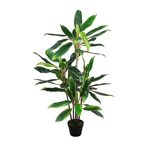 Click here for 55 Green and Red Potted Two Tone Dracaena Artifici... prices