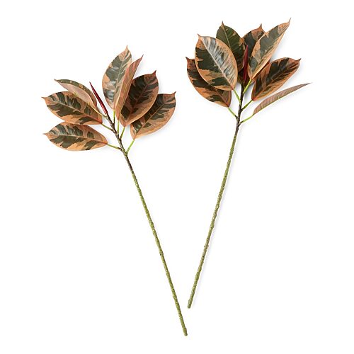 Click here for Linden Street 27 In Rubber Tree Stem Set Of 2 Arti... prices