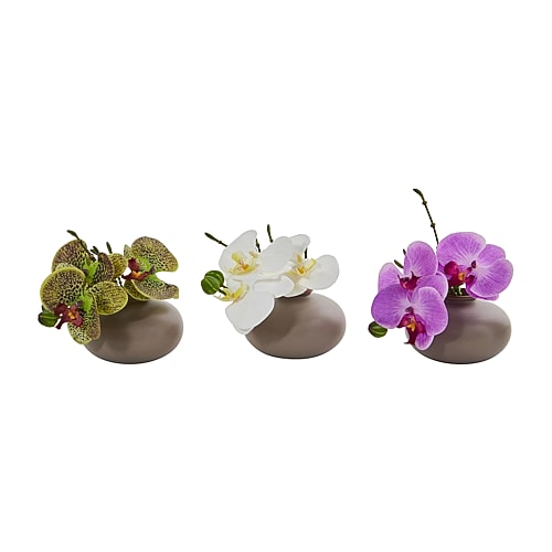Click here for 7â Phalaenopsis Orchid Artificial Arrangement; S... prices