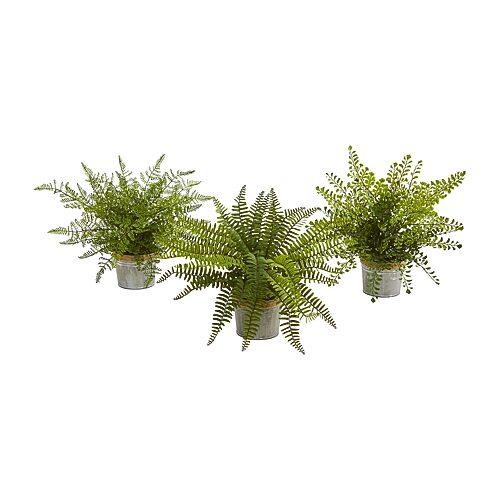 Click here for Nearly Natural 14 Assorted Ferns with Planter Arti... prices