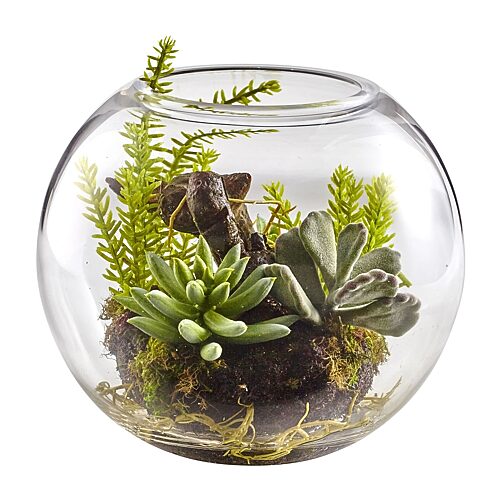 Click here for Nearly Natural Mix Succulent Garden With Glass Vas... prices