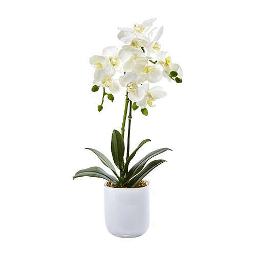 Click here for Nearly Natural Phalaenopsis In Frosted Glass Artif... prices