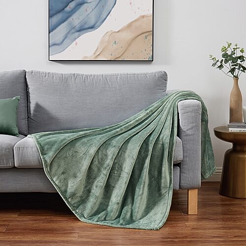Click here for Cannon Solid Plush Throw prices