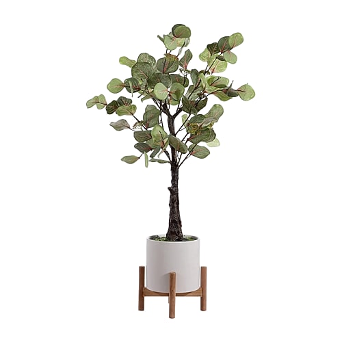 Click here for Safavieh Eucalyptus Indoor Artificial Tree  One Si... prices