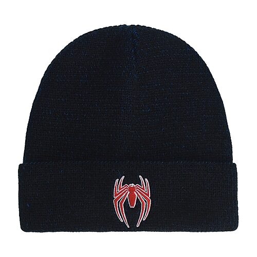 Click here for Spiderman Mens Beanie  One Size  Blue prices