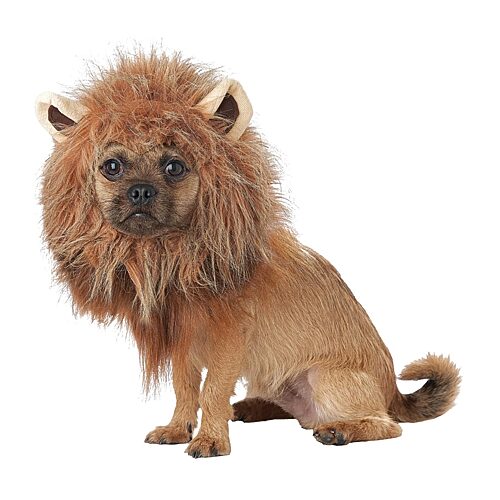 Click here for California Costumes King Of Jungle Dog Costume  Me... prices