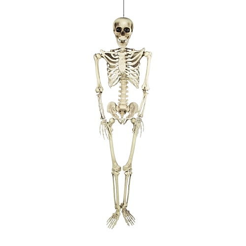 Click here for Northlight 5 Life Size Skeleton Halloween Yard Art... prices