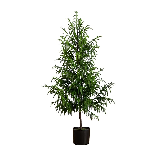Click here for Nearly Natural Artificial Norfolk Pine 5 Foot Pott... prices