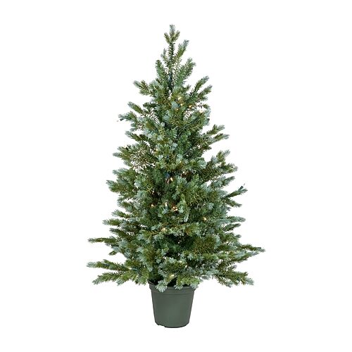 Click here for Northlight Potted Clear Lights 4 Foot Pre-Lit Spru... prices