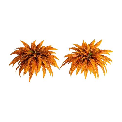 Click here for Nearly Natural 2-pc. Artificial Plant  One Size  O... prices