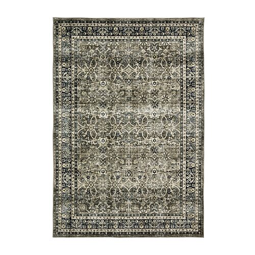 Click here for Covington Home Savannah Vintage Border Indoor Rect... prices