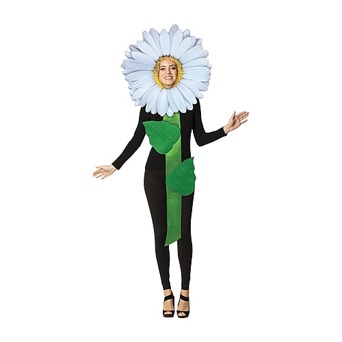 Click here for Unisex Adult Daisy Flower Costume  Large  White prices