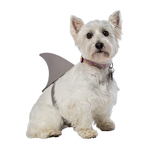 Click here for Rasta Imposta Shark Fin Dog Costume  Small  Gray prices