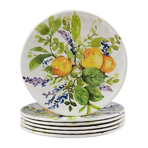 Click here for Certified Lemon Zest 6 Piece Melamine Salad Plate... prices