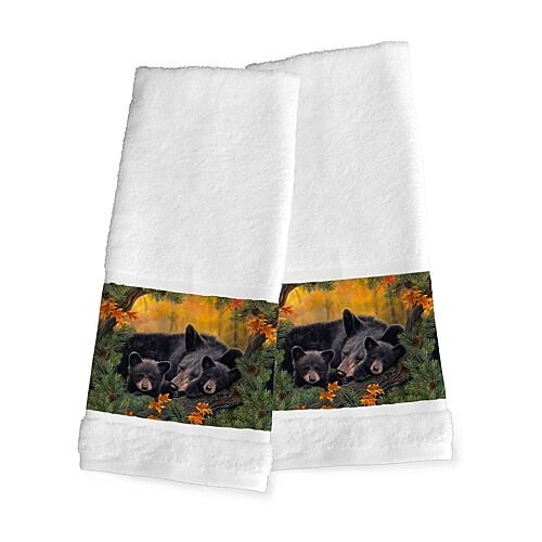 Click here for Laural Home Warm Cozy Bears 2-pc. Hand Towel  One... prices