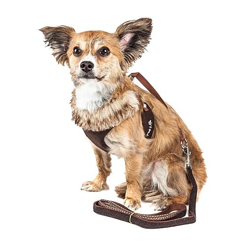 Click here for Pet Life Luxe Furracious 2-In-1 Mesh Reversed Adju... prices
