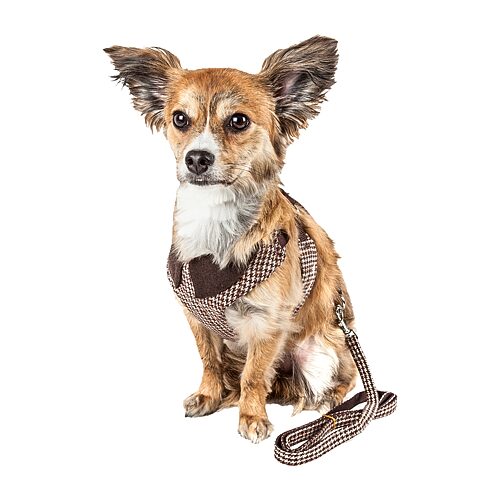 Click here for Pet Life Luxe Houndsome 2-In-1 Mesh Reversible Pla... prices