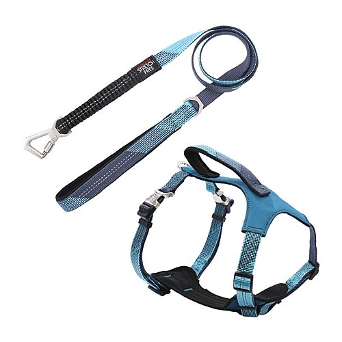 Click here for Pet Life Geo-Prene 2-In-1 Shock Absorbing Neoprene... prices