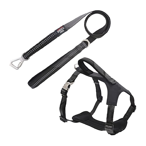Click here for Pet Life Geo-Prene 2-In-1 Shock Absorbing Neoprene... prices