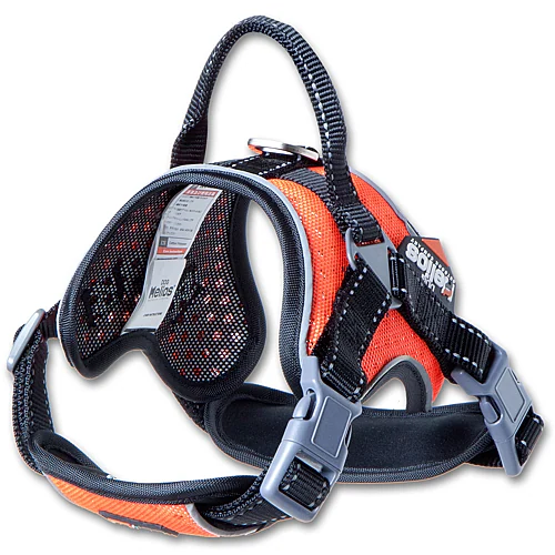 Click here for Dog Helios Scorpion Sporty High-Performance Free-R... prices