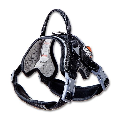 Click here for Dog Helios Scorpion Sporty High-Performance Free-R... prices