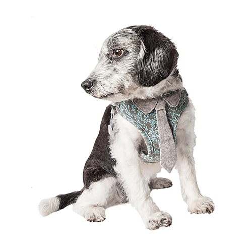 Click here for Pet Life Fidomite Mesh Reversible And Breathable A... prices