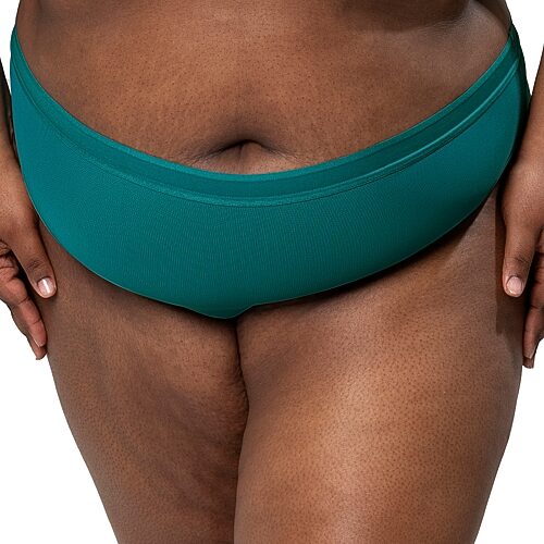 Click here for Curvy Couture Sheer Mesh High Cut Brief-1313  Smal... prices