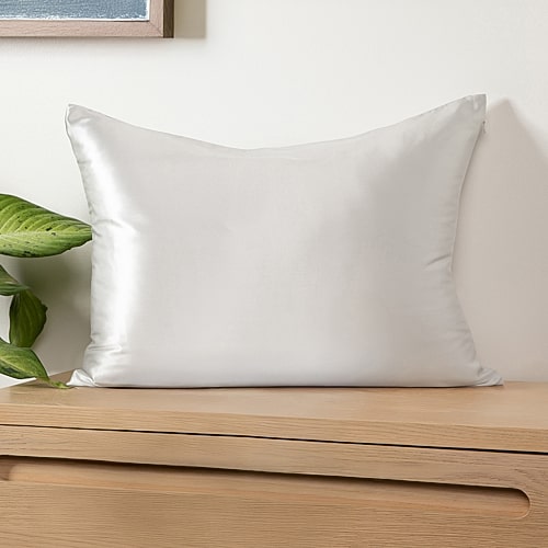 Click here for Soft Essentials 100 Mulberry Silk Zippered Pillowc... prices