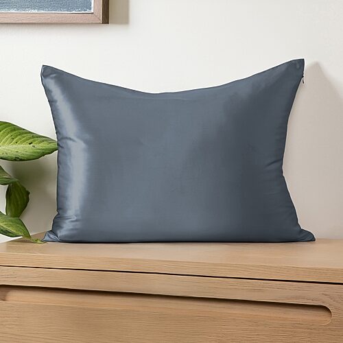 Click here for Soft Essentials 100 Mulberry Silk Zippered Pillowc... prices