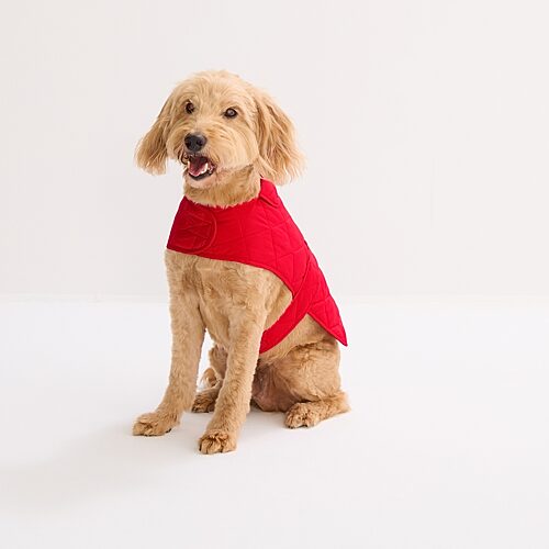 Click here for St. Johns Bark Animal Dog Coat  L-dog  Red prices