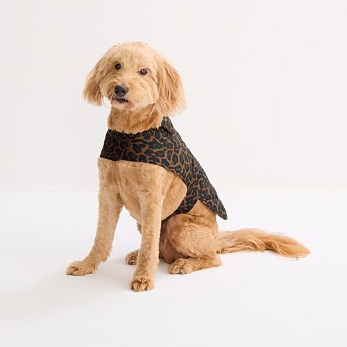 Click here for St. Johns Bark Animal Dog Coat  M-dog  Brown prices