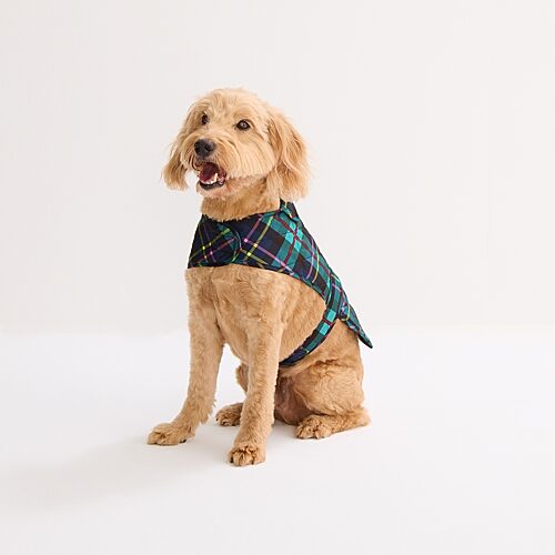 Click here for St. Johns Bark Animal Dog Coat  M-dog  Blue prices