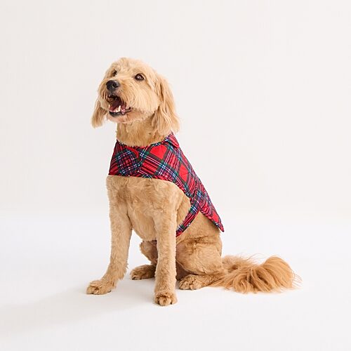 Click here for St. Johns Bark Animal Dog Coat  M-dog  Red prices