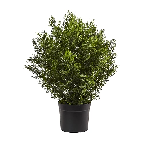 Click here for Nearly Natural 2ft. Green Cedar Artificial Plant... prices