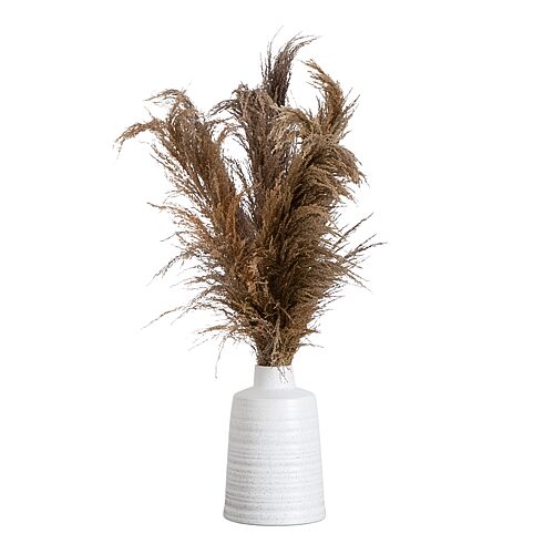 Click here for Nearly Natural 30in. Brown Dried Natural Pampas Fl... prices