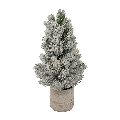 Click here for Northlight 16 Led Lighted Mini Frosted Pine In Cem... prices