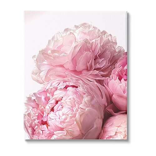 Click here for Stupell Industries Blush Pink Peony Florals Canvas... prices