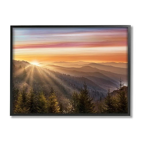 Click here for Stupell Industries Sunrise Through Mountain Forest... prices
