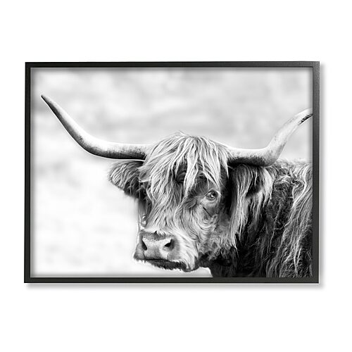 Click here for Stupell Industries Bold Country Cattle Photography... prices