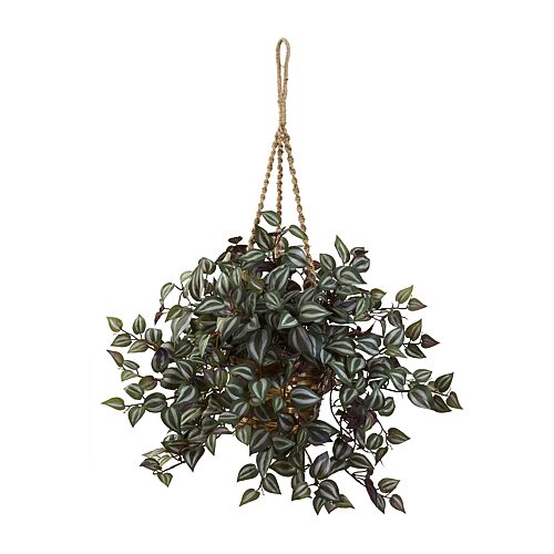 Click here for Nearly Natural Wandering Jew Hanging Basket Artifi... prices