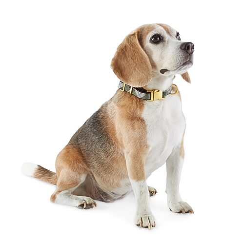 Click here for Paw & Tail Woven Printed Plaid Dog Collar  One Siz... prices
