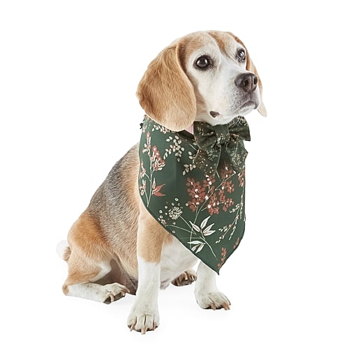 Click here for Paw & Tail Lrg Floral Bandanna Bow Set Floral Dog... prices