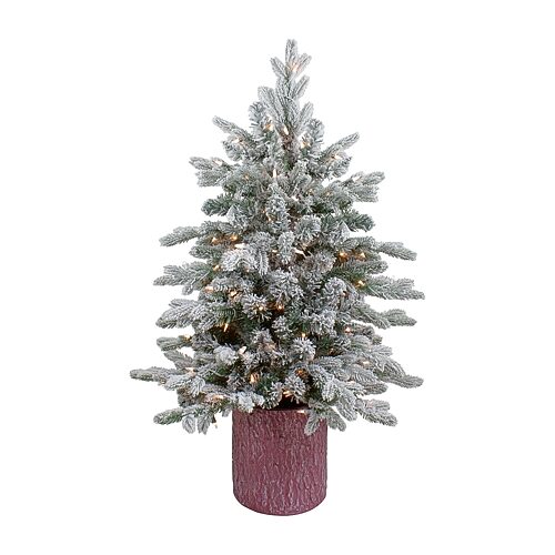 Click here for Northlight Saratoga Spruce Artificial In Pot Clear... prices