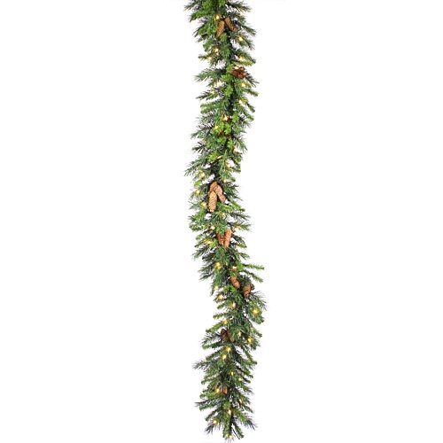 Click here for Vickerman 9 Cheyenne Christmas Garland with 50 War... prices