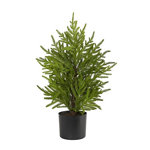 Click here for Nearly Natural 2 Foot Norfolk Island Pine Natural... prices